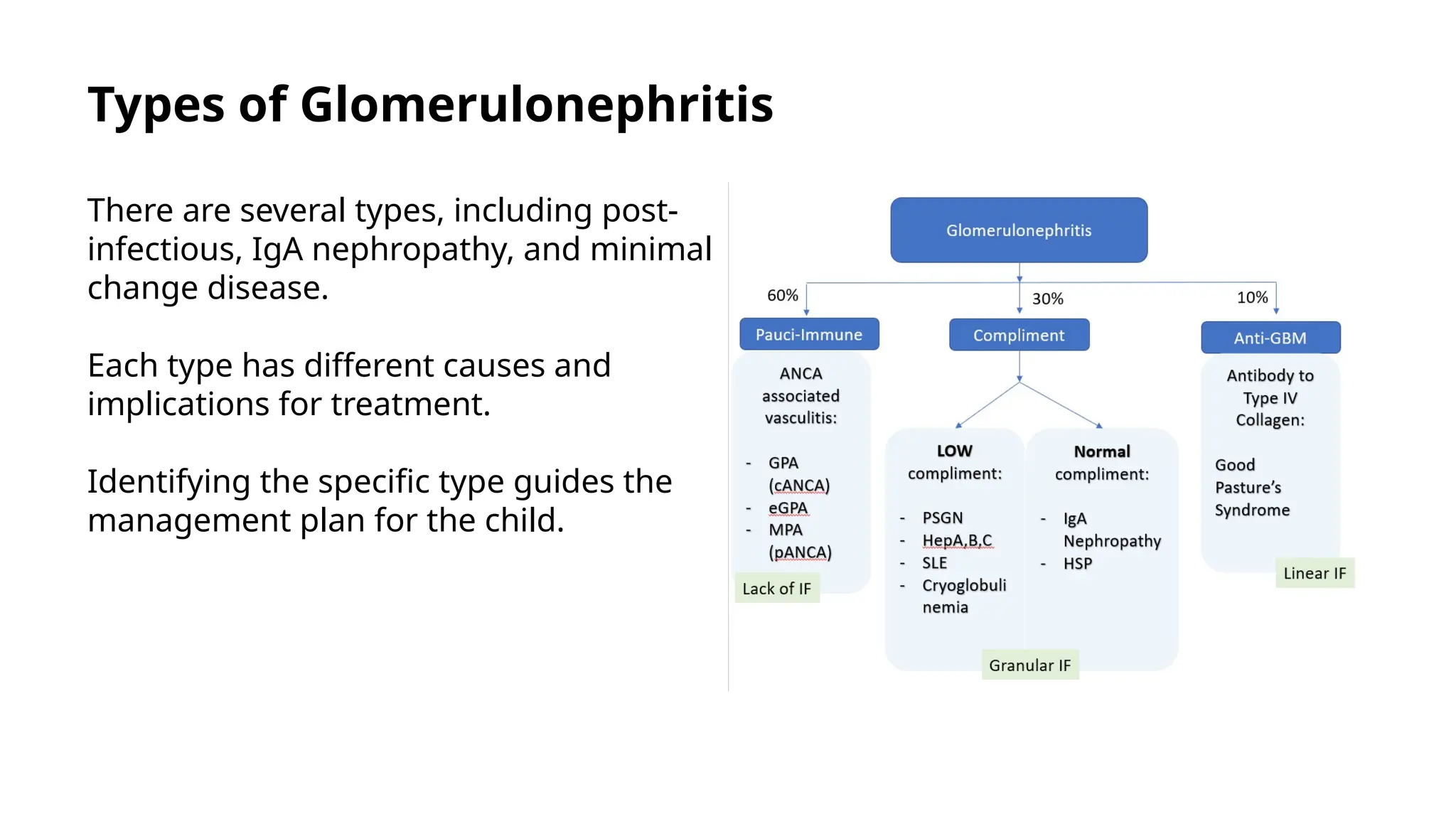 Glomerulonephritis In Children 2.pptx mbbs | PPTX