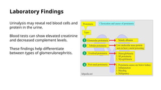 Glomerulonephritis In Children 2.pptx mbbs | PPTX