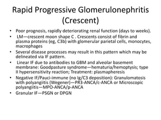 Glomerulonephropathy PGY 1.pptx