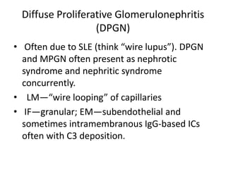 Glomerulonephropathy PGY 1.pptx