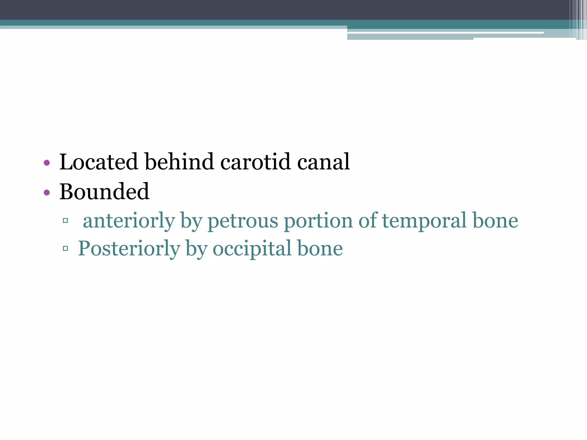 Glomus anatomy n intro | PPTX