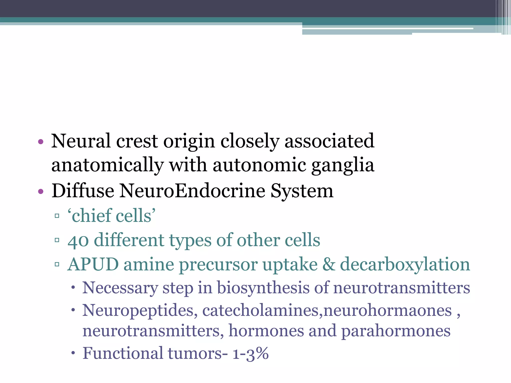 Glomus anatomy n intro | PPTX