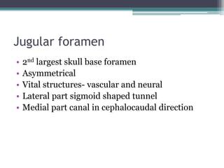 Glomus anatomy n intro | PPTX