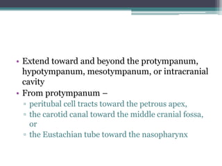 Glomus anatomy n intro | PPTX