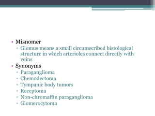 Glomus anatomy n intro | PPTX
