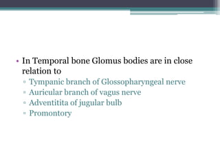 Glomus anatomy n intro | PPTX