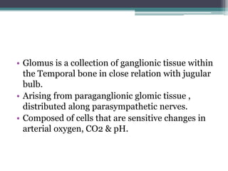 Glomus anatomy n intro | PPT