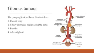 Glomus tumour | PPTX