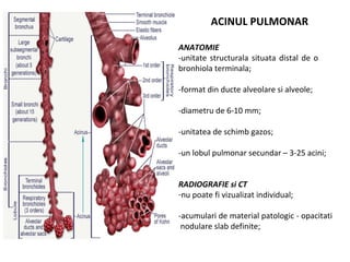 Glosar de termeni in imagistica toracelui | PPT