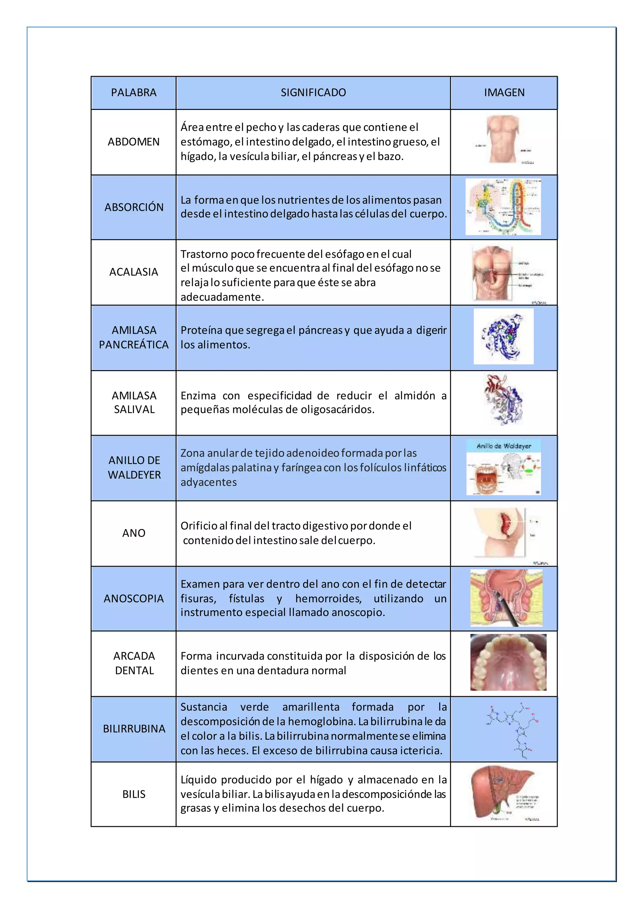 Glosario aparato digestivo | DOCX