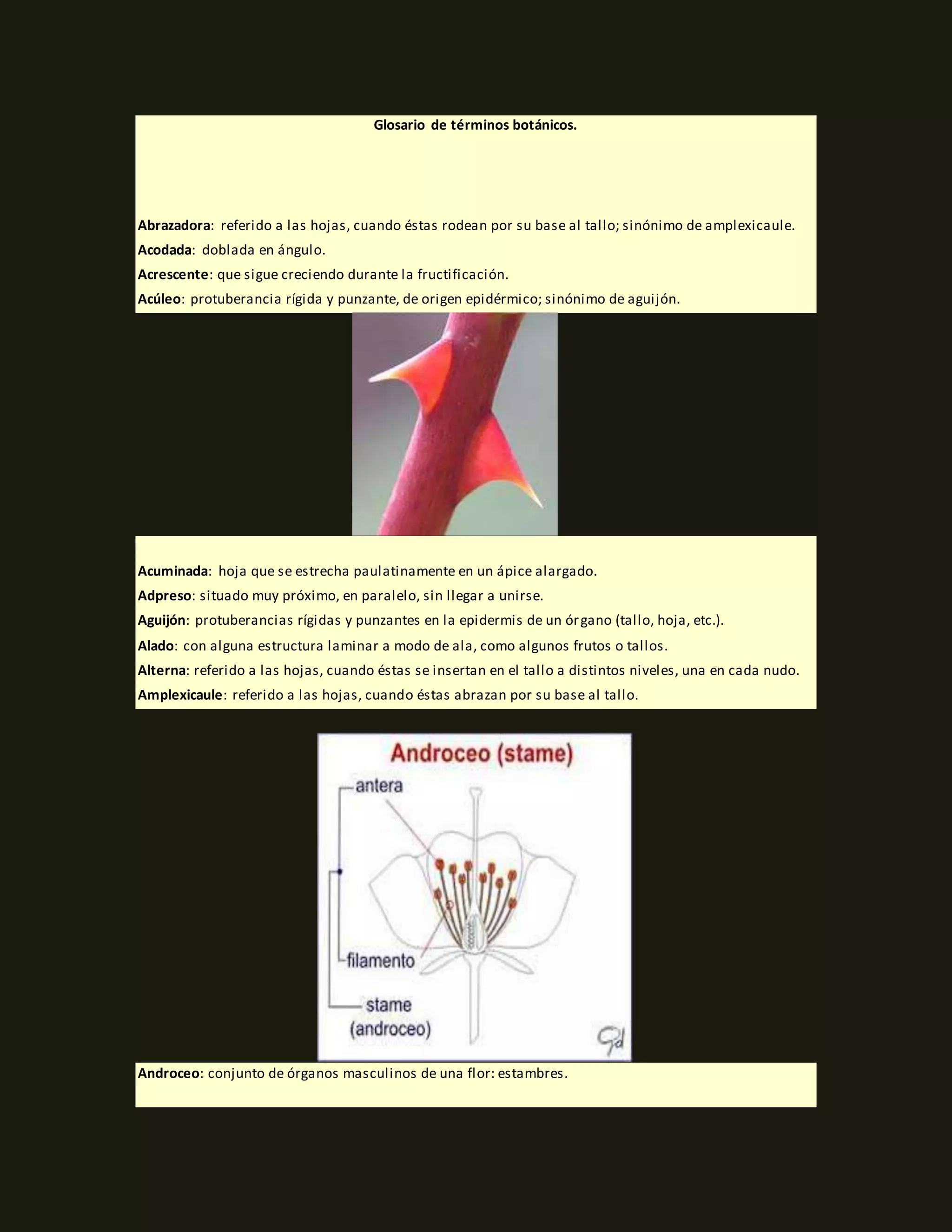 Glosario botanico | DOCX