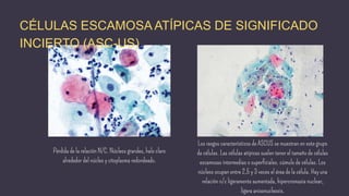 GLOSARIO CITOLOGÍA Ginecológica UD 5pptx | PPTX