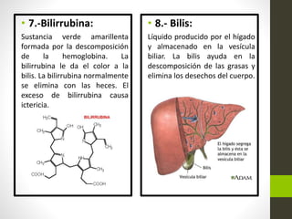 Glosario del Sistema Digestivo | PPTX