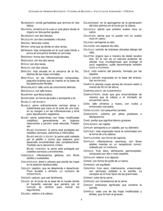 Glosario de terminos_botanicos_fac_agronomíaunla_pa | PDF