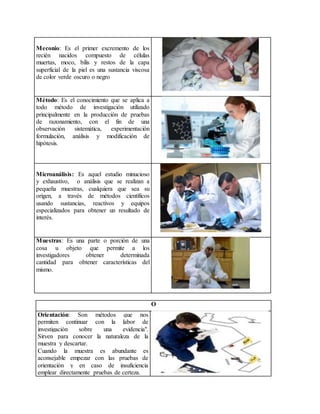Glosario ilustrado | DOCX