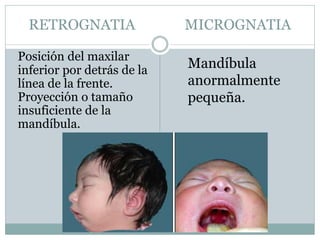 Glosario Medico (Genetica Medica) | PDF