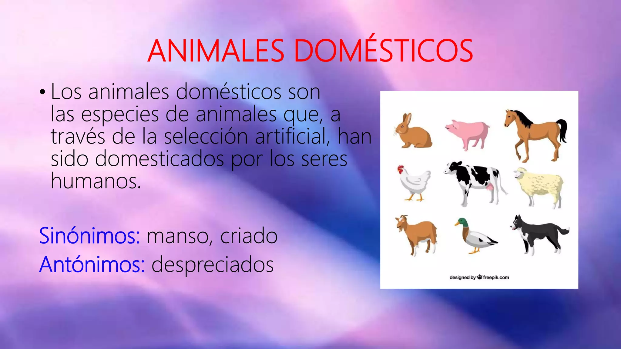 Glosario sobre los animales | PPTX