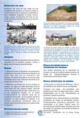 Glosario tsunamis | PDF