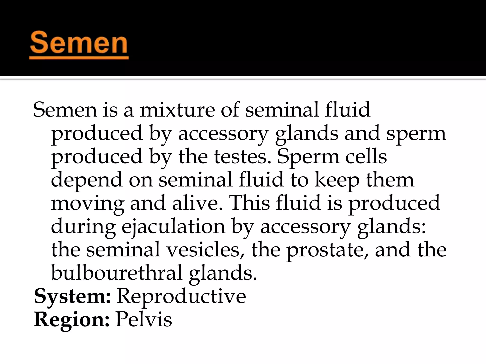 Glossary in Reproductive system | PPT
