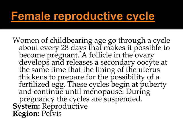 Glossary in Reproductive system | PPT