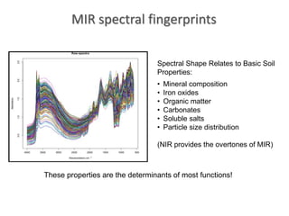 Item 1: Soil infrared spectroscopy | PPTX