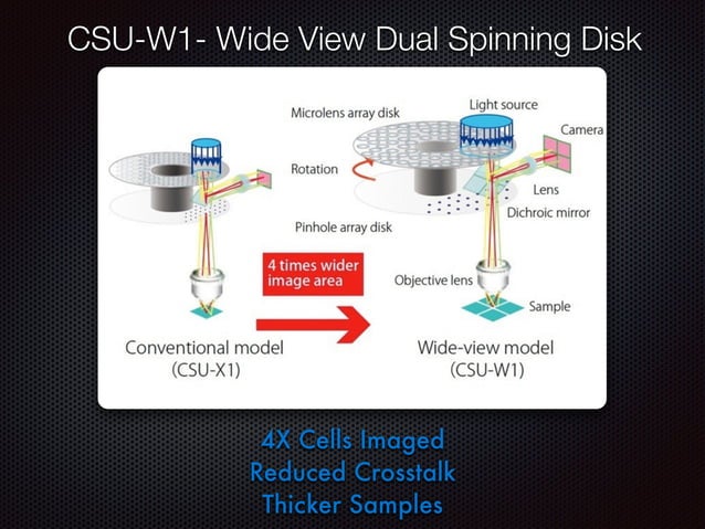 High content imaging with the yokogawa cv7000 system | PDF ...