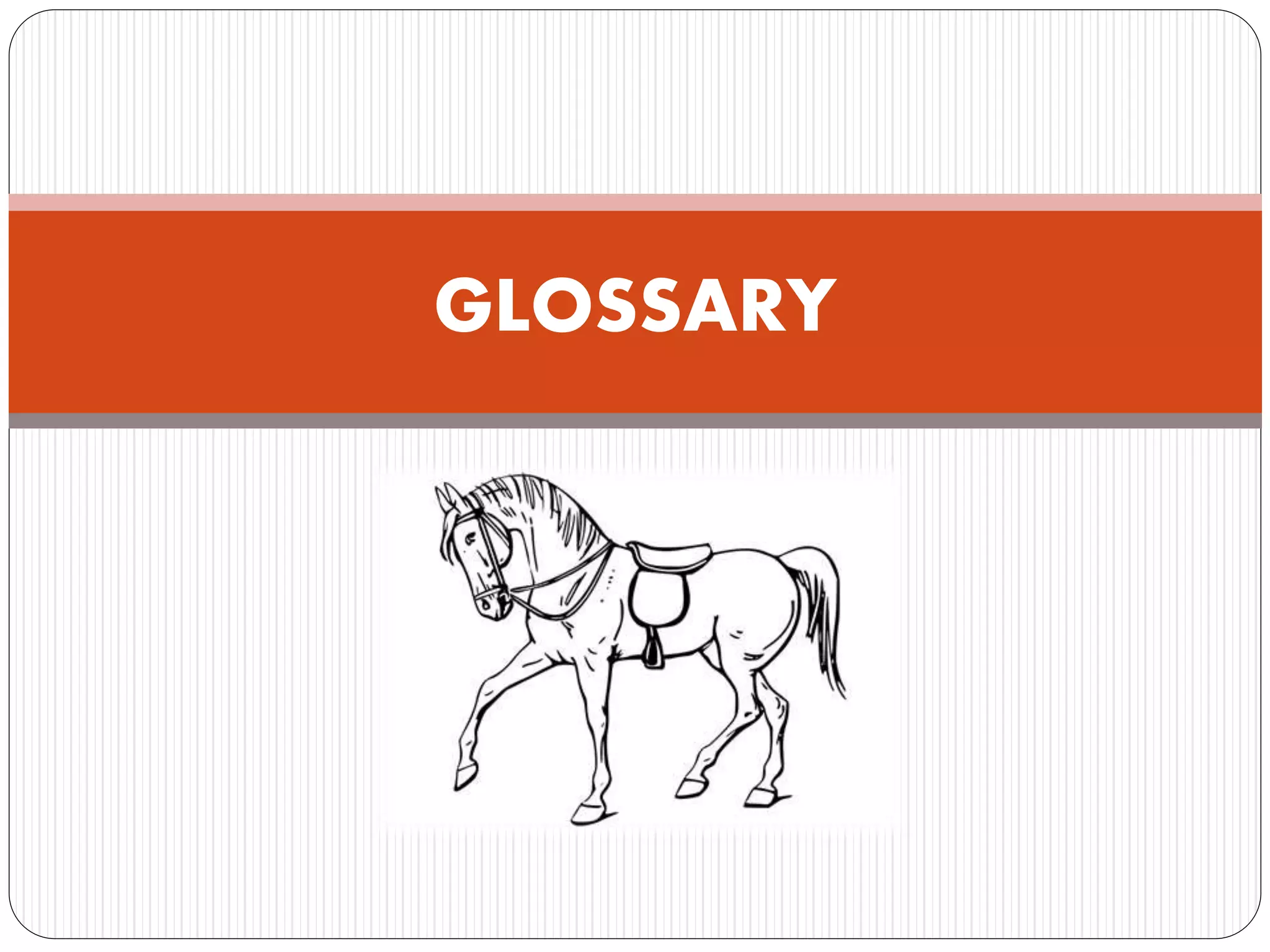 Horse Riding Glossary | PPTX