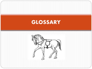 Horse Riding Glossary | PPT