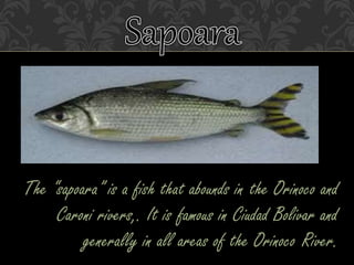 Glossary | PPTX | Food & Drink