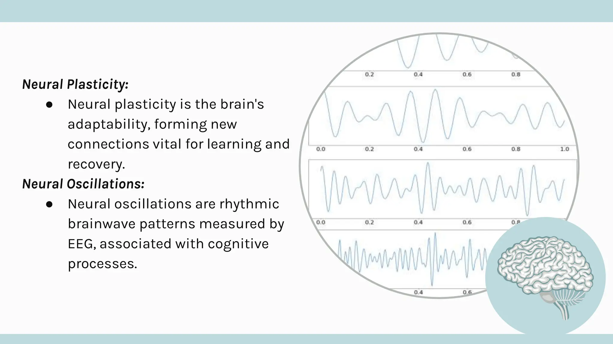 Glossary Brain and its cognitive fucntions | PPTX