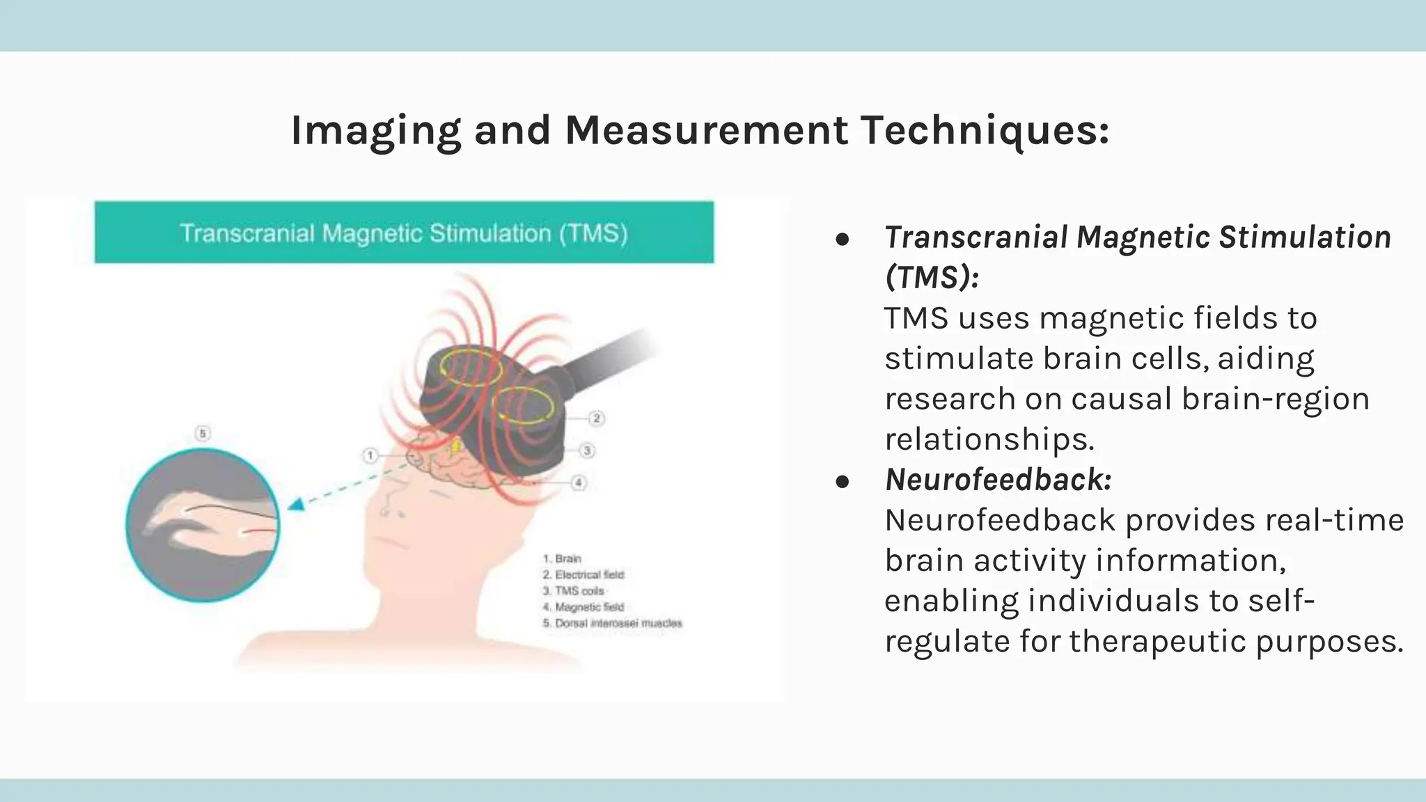 Glossary Brain and its cognitive fucntions | PPTX