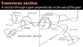 Glossary of gear nomenclature | PPTX