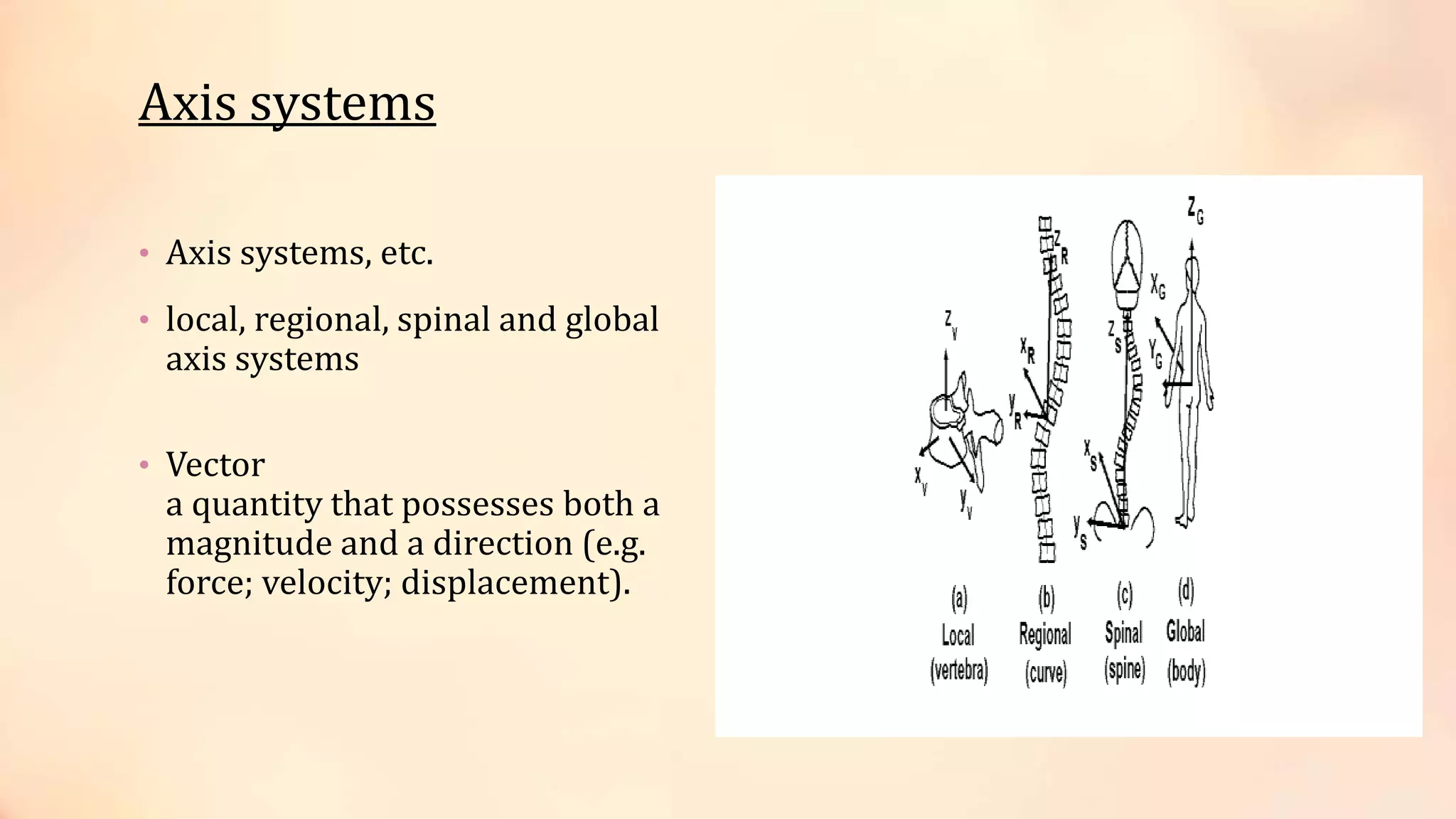 Glossary of spinal deformity biomechanical terms | PPTX