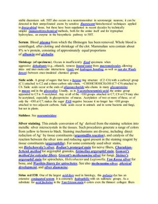 Glossary of staining methods, reagents, immunostaining, terminology and ...