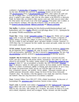 Glossary of staining methods, reagents, immunostaining, terminology and ...