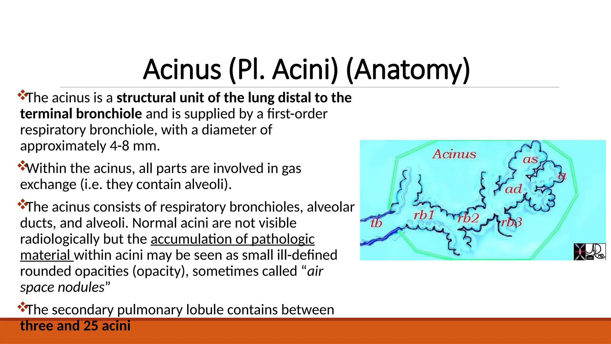 Glossary of terms in Thoracic Radiology: The Fleischner Society 2024 ...
