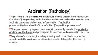 Glossary of terms in Thoracic Radiology: The Fleischner Society 2024 ...