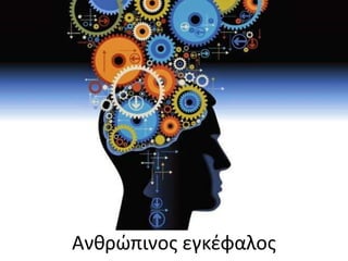 ΕΡΕΥΝΗΤΙΚΗ ΕΡΓΑΣΙΑ Α3 | PPTX