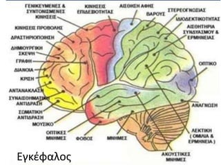 ΕΡΕΥΝΗΤΙΚΗ ΕΡΓΑΣΙΑ Α3 | PPTX