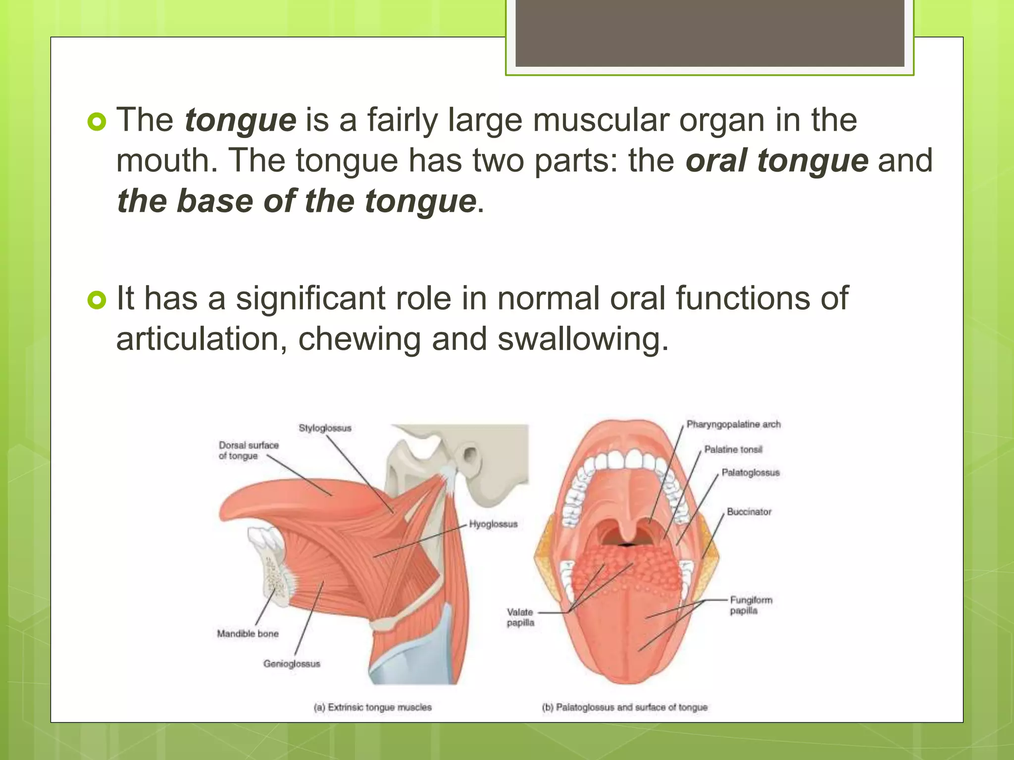 Glossectomy presentation | PPTX