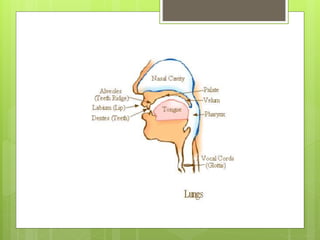 Glossectomy presentation | PPTX