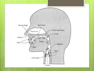 Glossectomy presentation | PPTX
