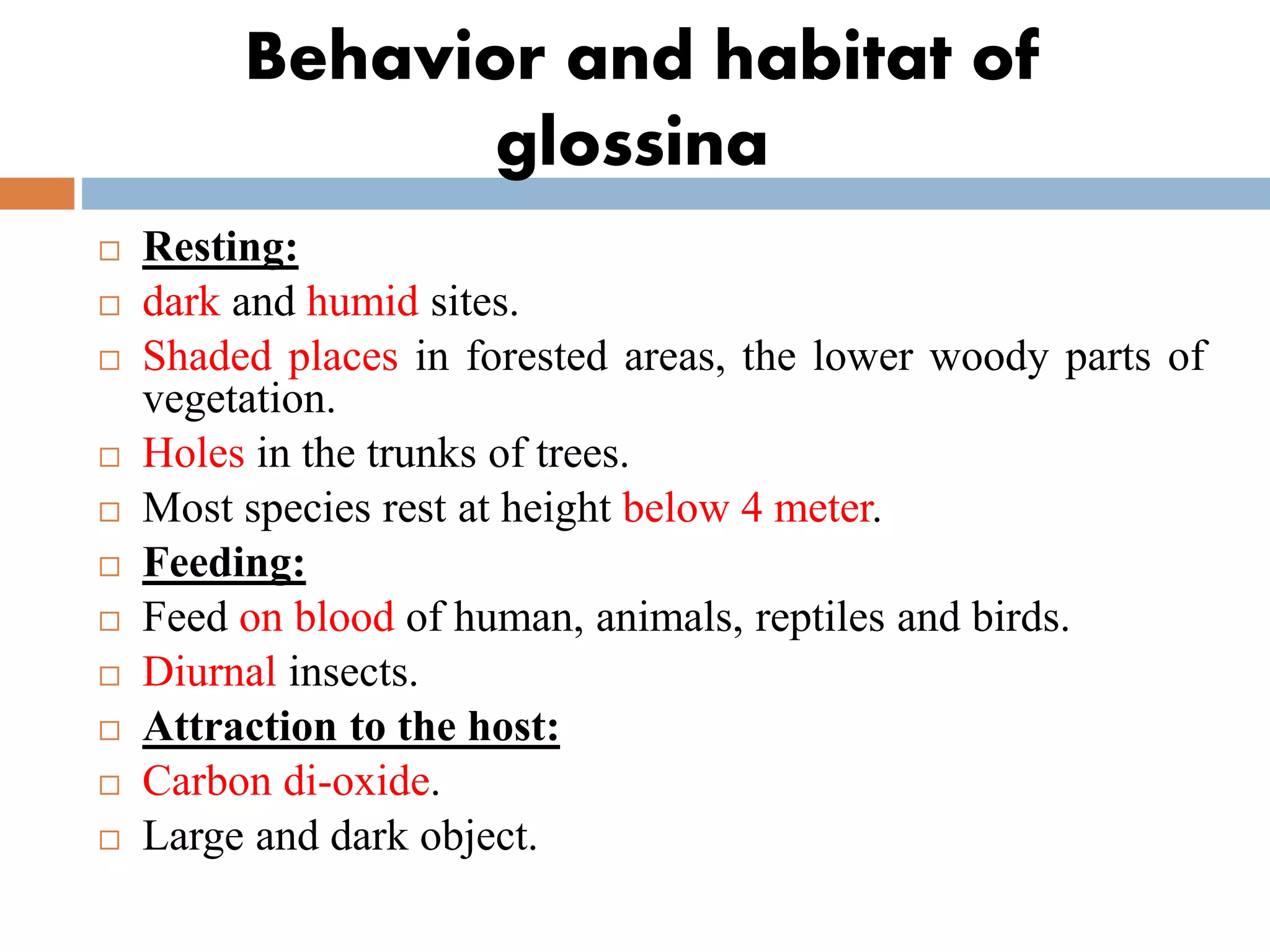 Glossina - tsetse fly | PPTX