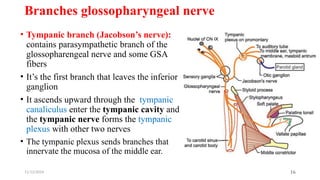 Glossopharyngeal and Hypoglossal Nerve.pptx