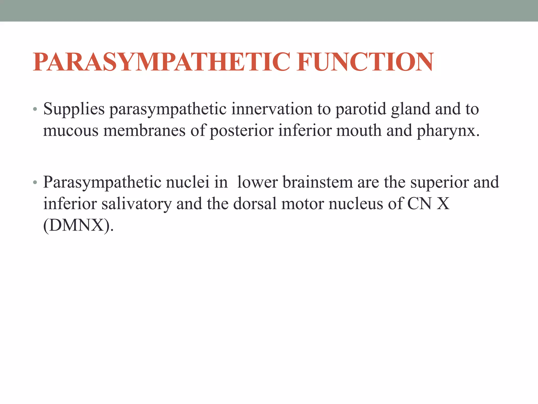 Glossopharyngeal (cn ix) and vagus ( | PPTX