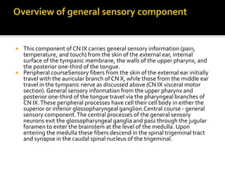 Glossopharyngeal nerve | PPTX
