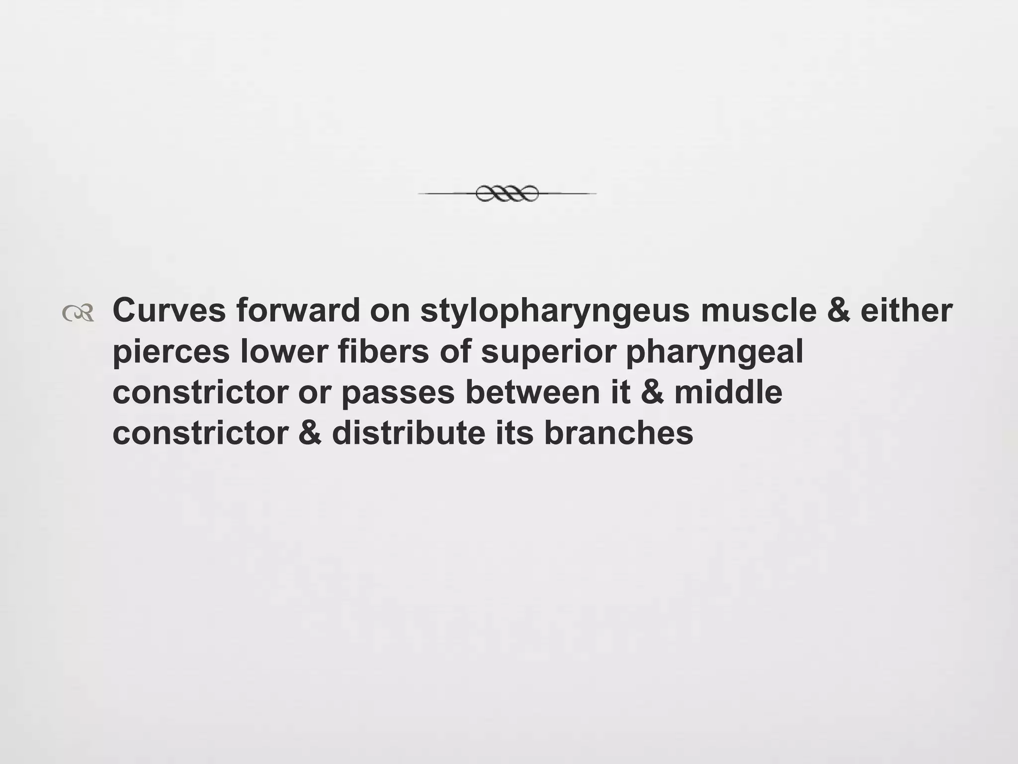 glossopharyngealnerve-170429133151.pptx