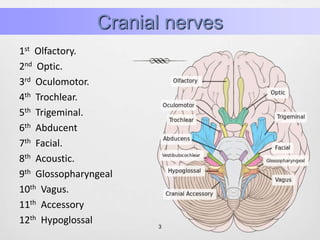 Glossopharyngeal nerve | PPTX