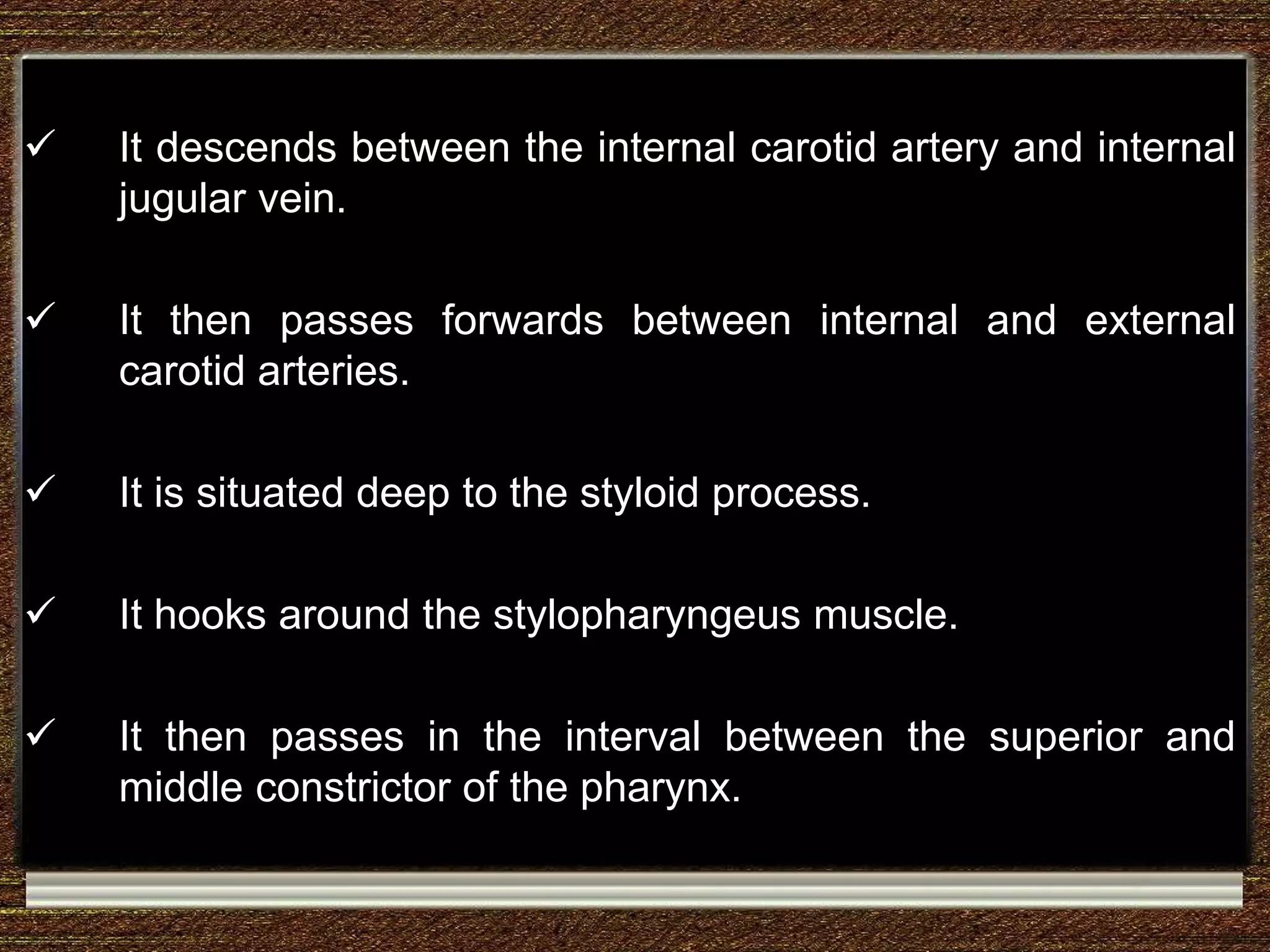GLASSOPHARYNGEAL NERVE | PPTX