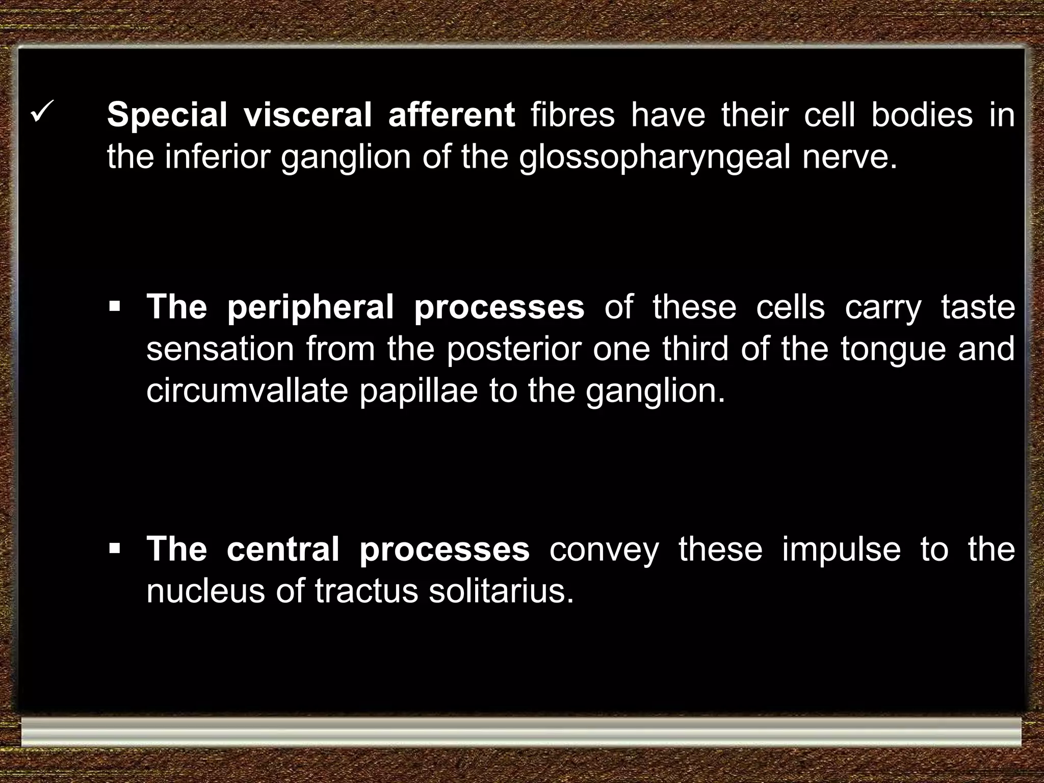 GLASSOPHARYNGEAL NERVE | PPTX